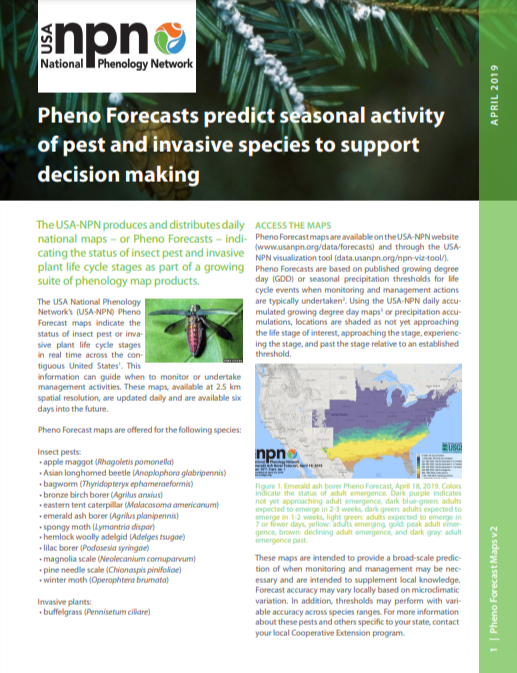 Pheno Forecasts | USA National Phenology Network