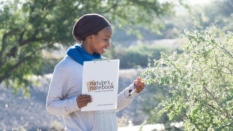 Home Page | USA National Phenology Network